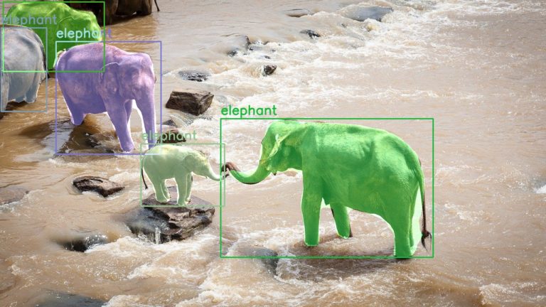 Instance Segmentation With Pytorch And Mask R Cnn