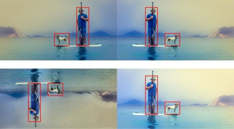 Bounding Boxes Augmentations Using Albumentations