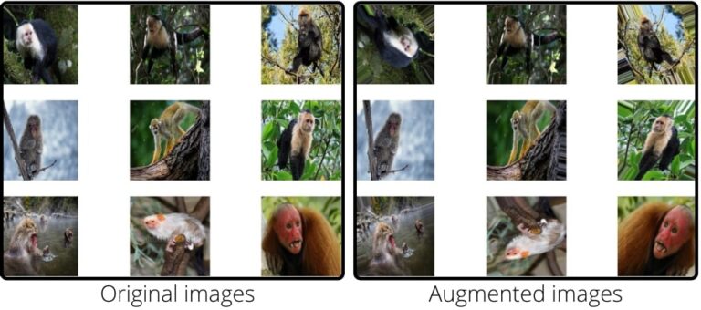 Faster Image Augmentation in TensorFlow using Keras Layers