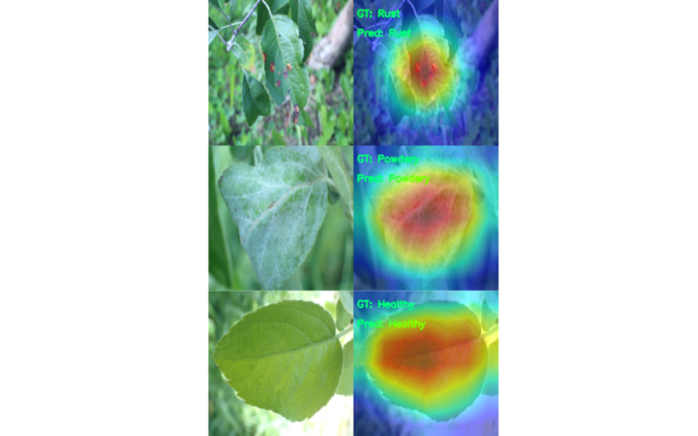 Plant Disease Recognition using Deep Learning and PyTorch Plant Disease Recognition using Deep Learning and PyTorch